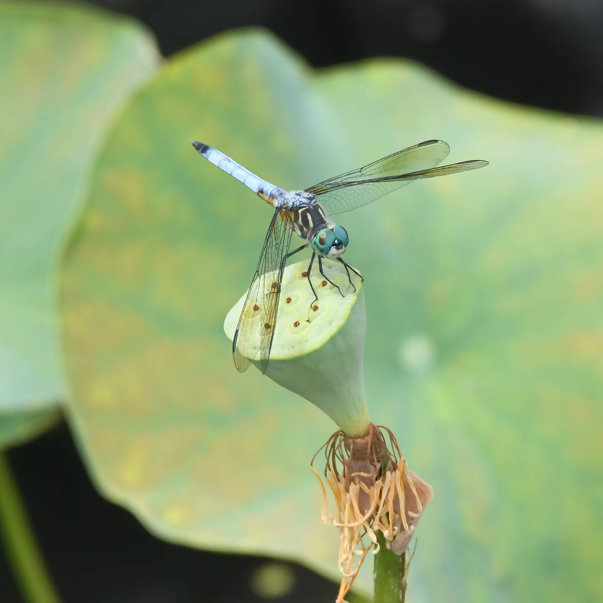 Meet Ken Mason – Image City Blog